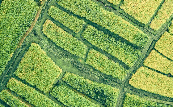 About Us | LivingEarth